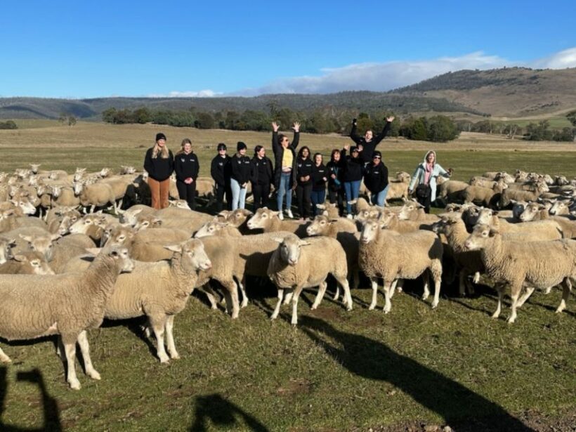 6D5N Tasmania Unveiled: Discovering Icons and Hidden Gems - Why This Tour Offers Value