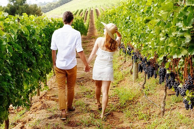 6hr | 12 Passenger Mercedes Limo Sprinter Bus - Practical Considerations