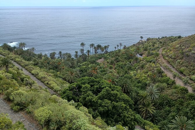 6hrs Private Tour in North Coast of Tenerife - What to Expect on the Tour