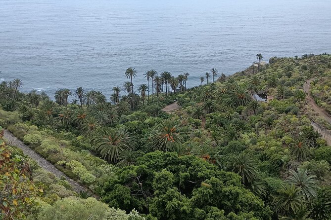 6hrs Private Tour in North Coast of Tenerife - Booking and Cancellation Policy