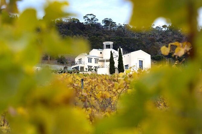 7- 8 Hour StelaVino Guided Wine Tours From Hobart, Tasmania - The Itinerary: What to Expect on the Day