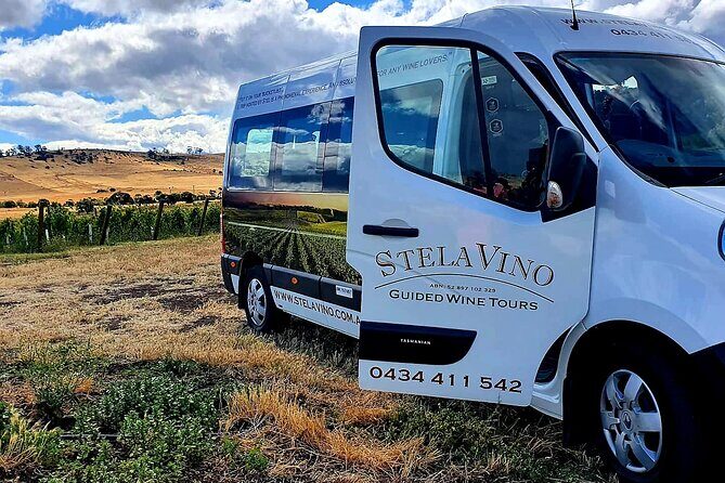 7- 8 Hour StelaVino Guided Wine Tours From Hobart, Tasmania - The Sum Up: A Solid Choice for Wine & Culture Lovers