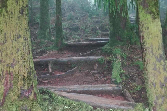 7 Cidades lake Fire lake Van tour - The Bottom Line