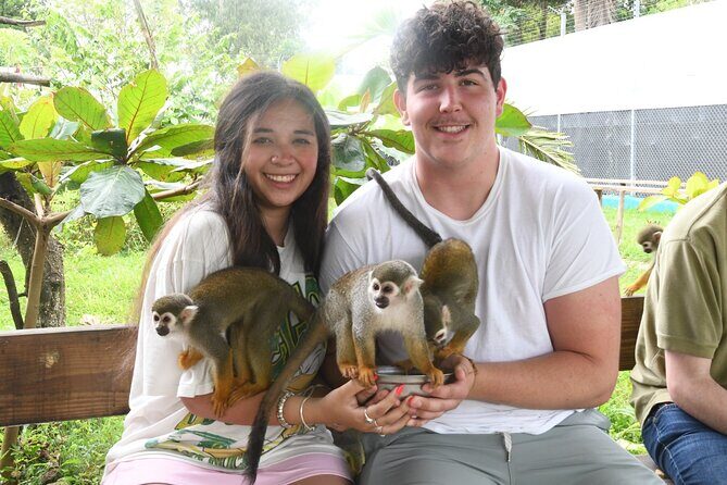 7 Damajagua & Monkey Home Tours waterfalls - An Honest Look at the Itinerary