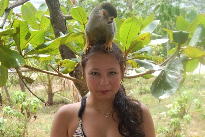 7 Damajagua & Monkey Home Tours waterfalls - Final Thoughts