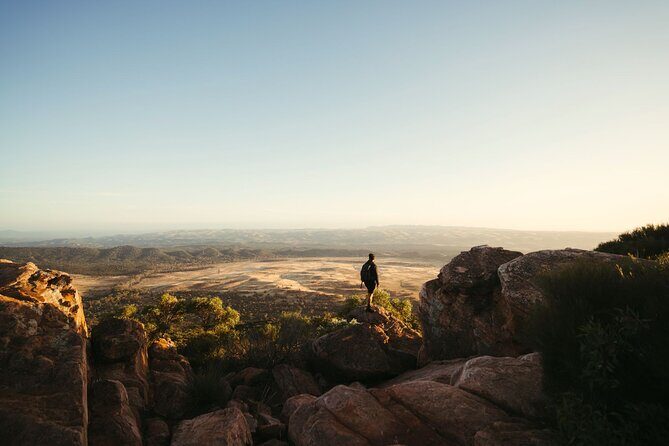 7 Day Adelaide to Uluru Adventure and Cultural Tour - The Sum Up: Who Will Enjoy This Tour?