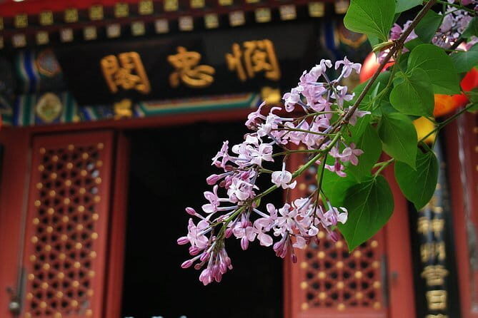 7 Day Classic Tour of Beijing and Xi'an - Final Thoughts