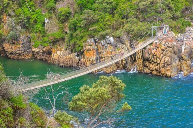 7-Day Garden Route Safari Adventure from Cape Town - What You’ll Love About the Experience