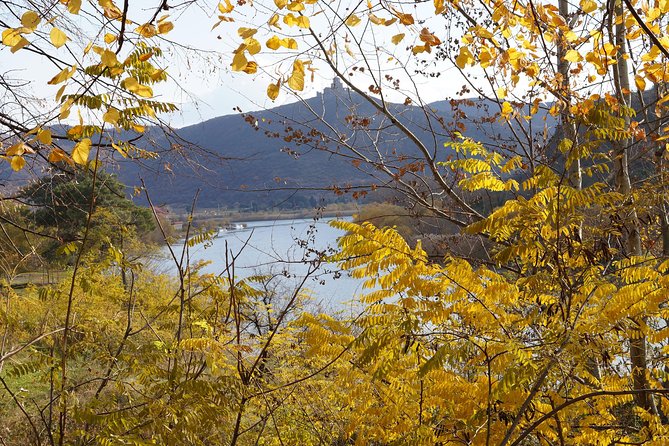 7-Day Georgian Highlights Tour from Tbilisi - Scenic Drive and Tsalka Lakes