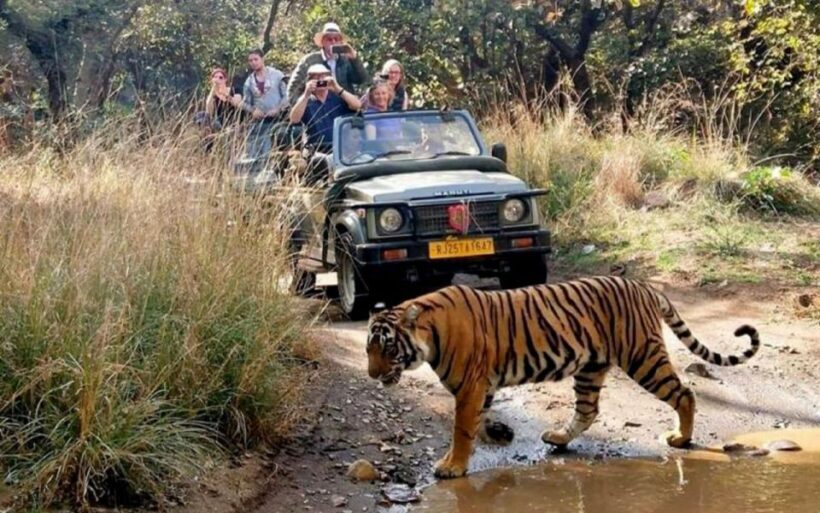 7-Day Golden Triangle Tour with Ranthambore Tiger Safari - Key Points