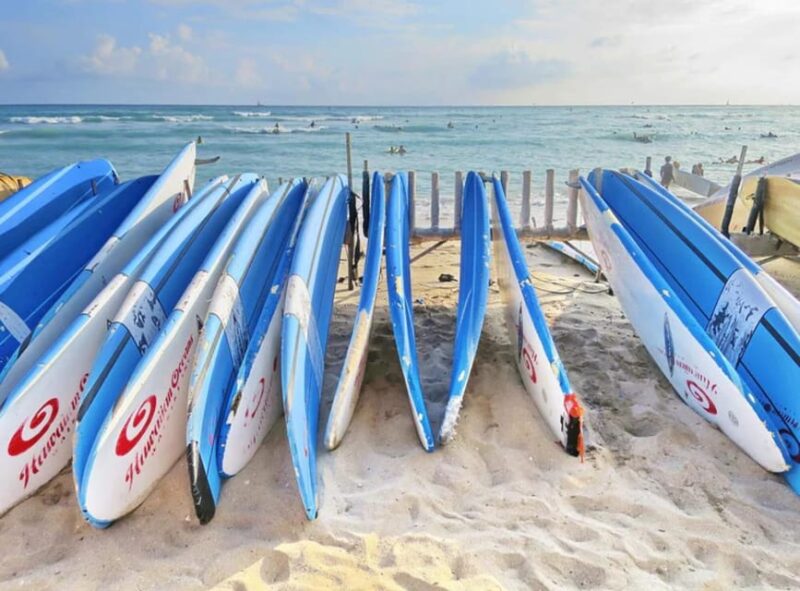 7 Day Hawaii Tour! - Day 7: Botanical Gardens and Beach Relaxation