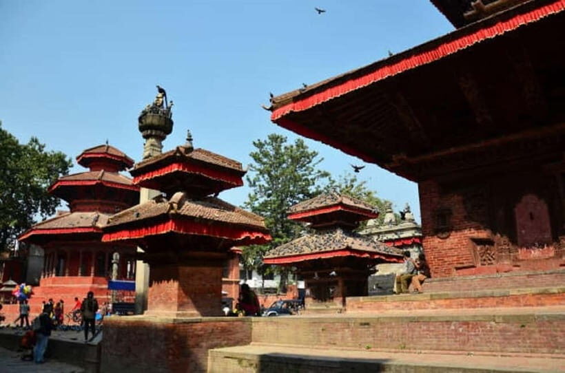 7 Day Himalayan Highlights: Culture, Mountain, Jungle Safari - Who Would Love This Tour?