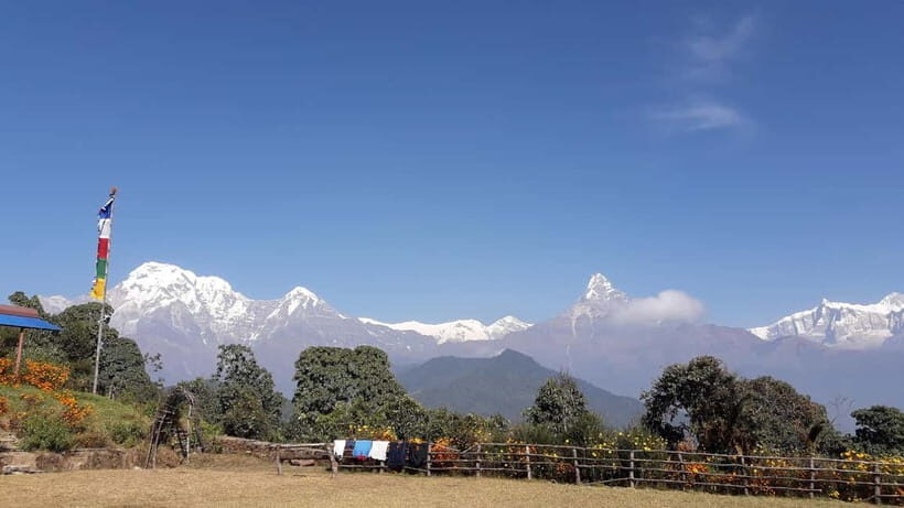 7 Day Himalayan Highlights: Culture, Mountain, Jungle Safari - Final Thoughts