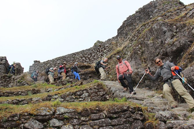7-Day: Inca Trail Trek to Machu Picchu Group Tour - Customer Feedback
