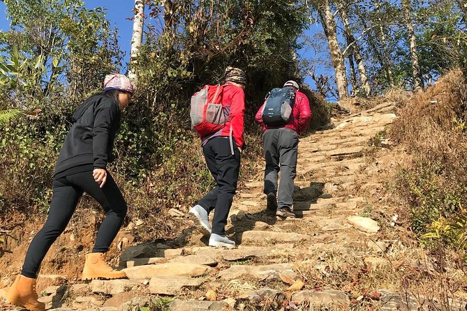 7-Day Kathmandu, Pokhara Tour with Hike to Australian Camp - Who Should Consider This Tour?