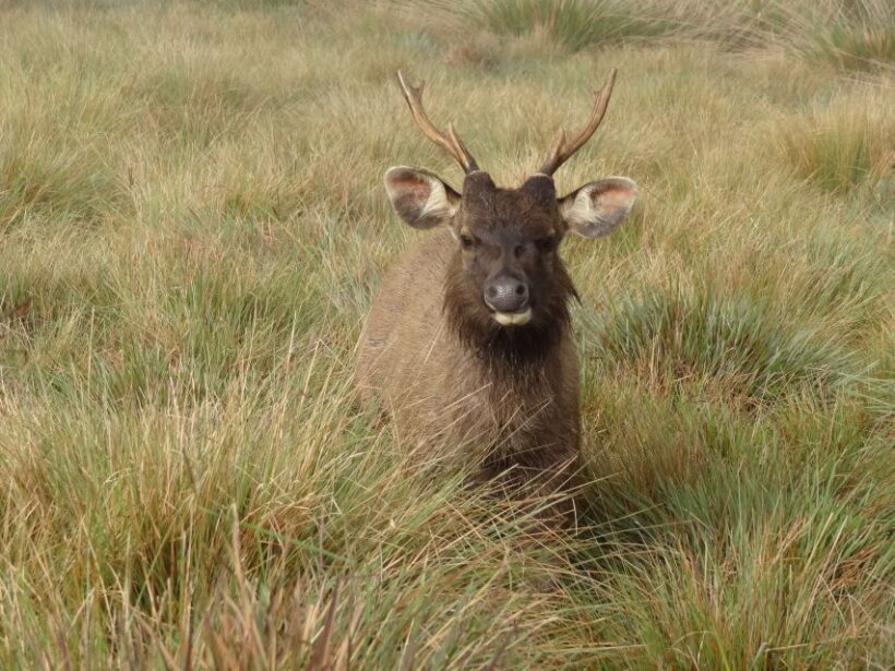 7-Day Off The Beaten Nature and Wildlife tour - What Makes This Tour Special?