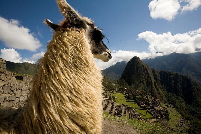 7 Day Peru Private Journey - Discovering Inca History and Culture