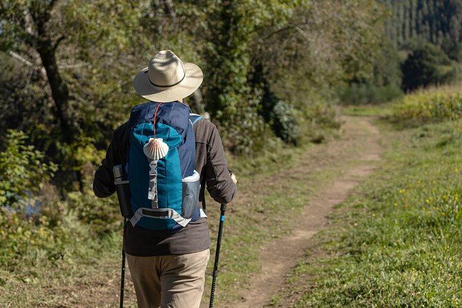 7-Day Portuguese Camino De Santiago Tour From Tui - Key Points