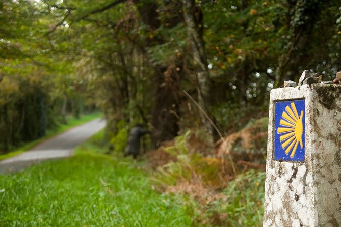 7-Day Portuguese Camino De Santiago Tour From Tui - Cultural Highlights