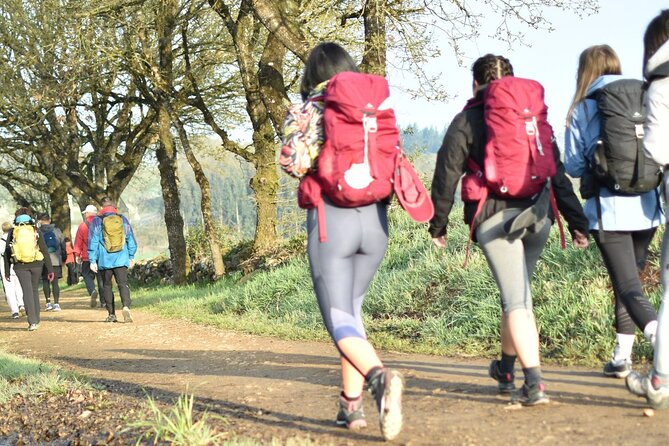 7-Day Portuguese Camino De Santiago Tour From Tui - Pricing and Cancellation