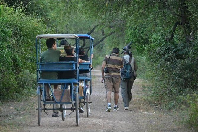 7-Day Private Golden Triangle Tour - Forts Palaces and Wildlife Sanctuary - An In-depth Look at the Itinerary