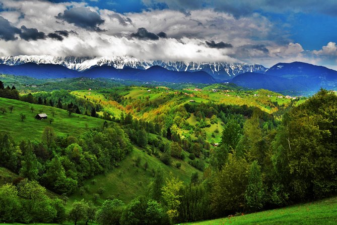 7-Day Private Tour of Transylvania From Bucharest - Accommodation and Meals