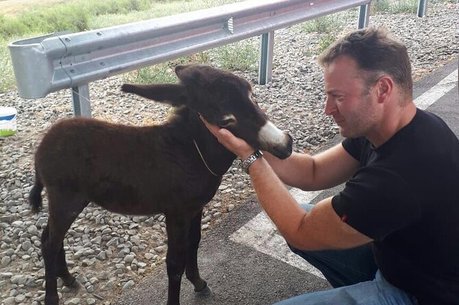 7-Day Small-Group Sightseeing Tour in Georgia From Tbilisi - Highlights of the Tour