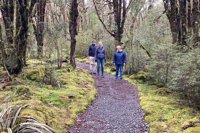 7-Day South Island Coastal Splendor Tour from Christchurch - Day 1: The TransAlpine Journey and Franz Josef
