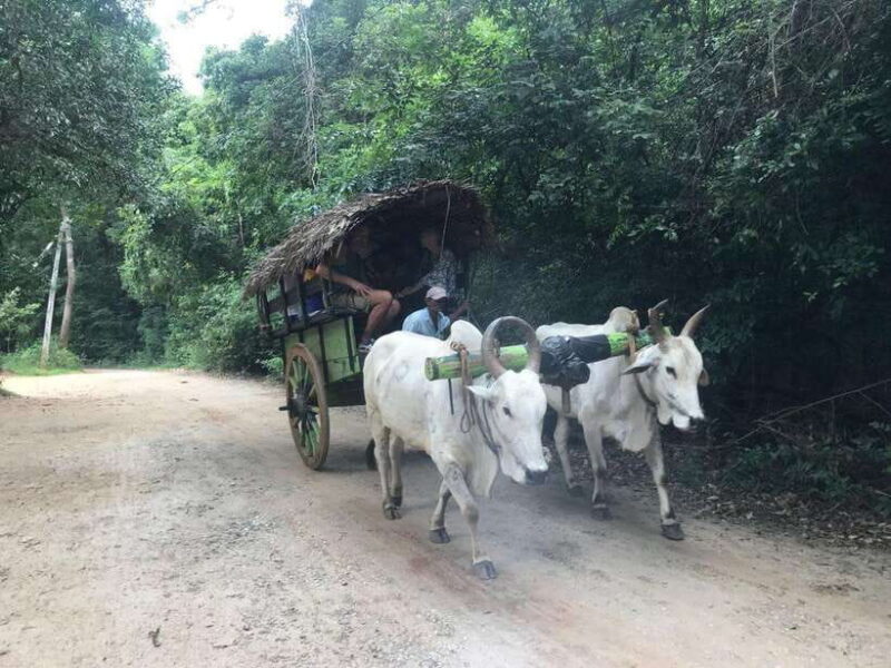 7-Day Sri Lanka Round Tour: Colombo, Ella, Kandy, Sigiriya - Frequently Asked Questions