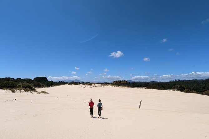 7-Day Super Value Tour of Tasmania: Explore Tasmania's West and East Coasts - Final Thoughts