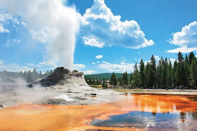 7 -Day Tour from Las Vegas to Yellowstone National Park - What You’ll Love About This Tour