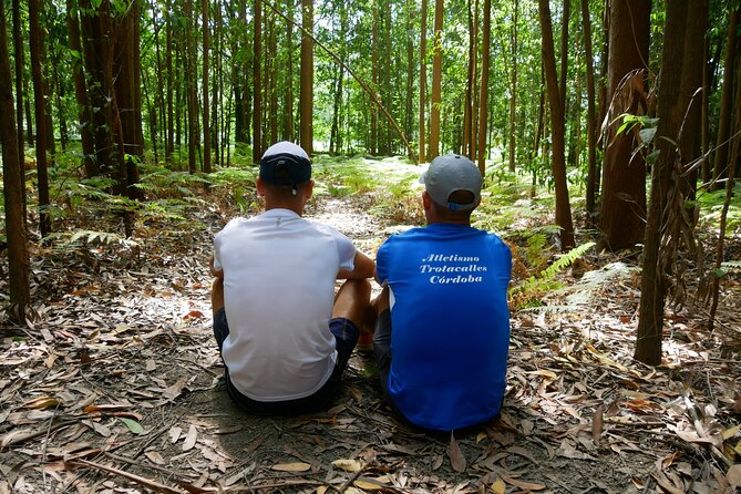 7-Day Tour of the French Way of Santiago From Sarria - Exploring Sarria