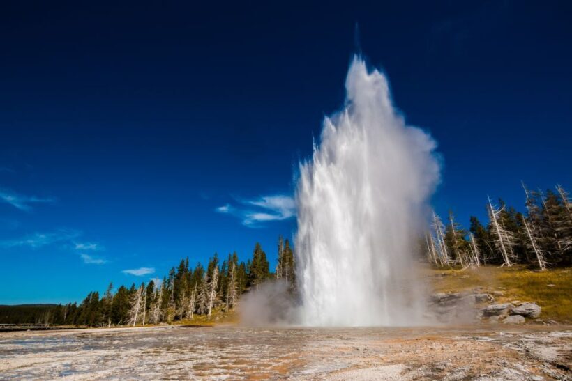 7-Day Yellowstone National Park Rocky Mountain Explorer - An In-Depth Look at the 7-Day Yellowstone National Park Rocky Mountain Explorer