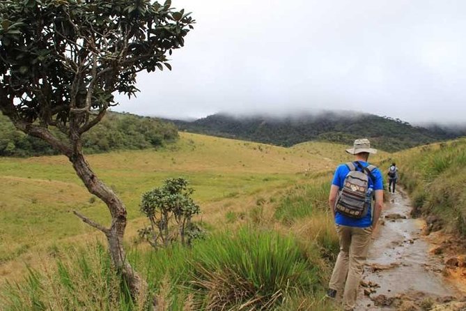 7 Days 6 Nights Package Tour with Holiday Walkers Sri Lanka - FAQs