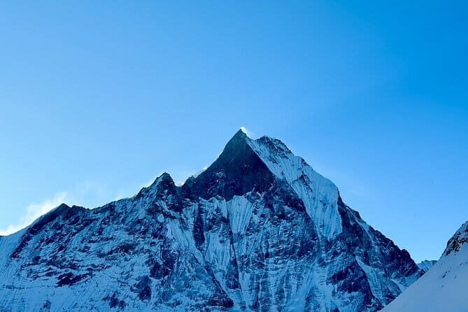 7 Days ABC Trek with Chitwan Safari Tour - Who Is This Tour Best For?