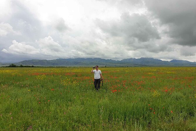 7 Days Almaty Tour Package - Final Thoughts: Is It Worth It?