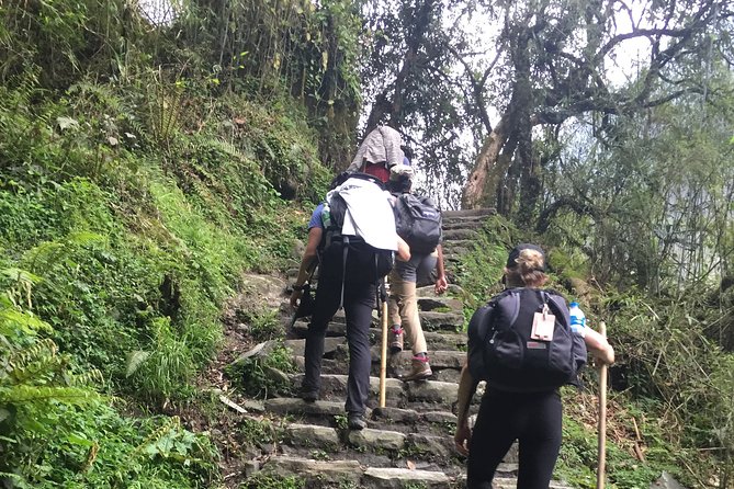 7 Days Annapurna Base Camp Trek from Pokhara - What Makes This Trek Stand Out?