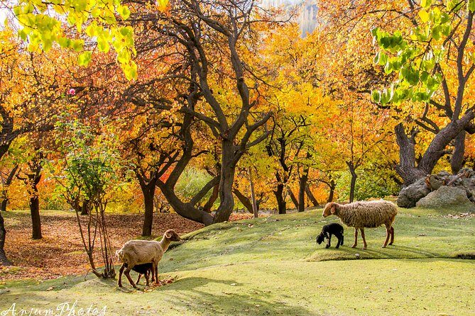 7-Days Autumn Tour to Hunza Valley - The Journey Begins: First Impressions