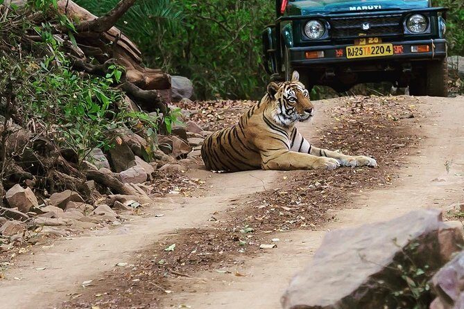 7 Days Golden Triangle Tour & Ranthambore Tiger Safari - An In-Depth Look at the Itinerary