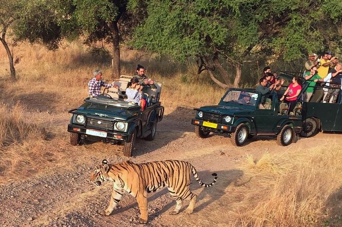 7-Days Golden Triangle with Ranthambore National park tour - What Reviewers Say