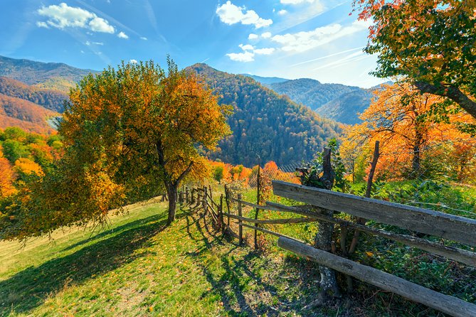 7-Days Grand Romania tour from Bucharest - A Deep Dive into the Itinerary