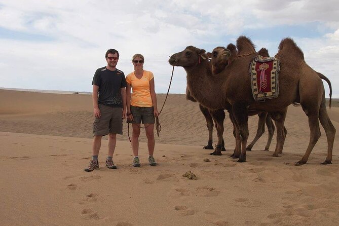 7 days Great Gobi Tour - Authentic Encounters and Cultural Insights
