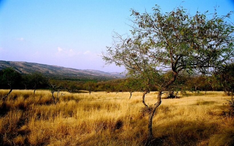 7 days india Taj Mahal tour with ranthambore tiger safari - Who Should Consider This Tour?