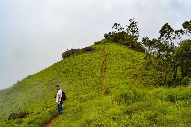 7 Days Kerala Tour- Munnar, Periyar, Houseboat & Varkala Beach - Final Thoughts: Is This Tour Worth It?