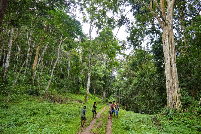 7 Days Kerala Tour- Munnar, Periyar, Houseboat & Varkala Beach - FAQ