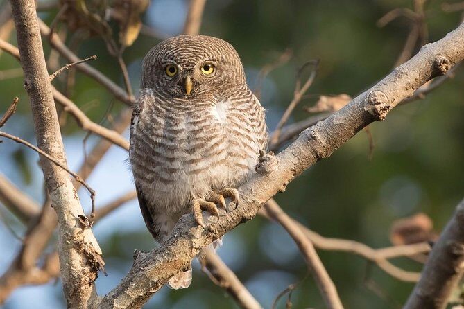 7 - Days Private Golden Triangle Tour with Bird Sanctuary - Key Points