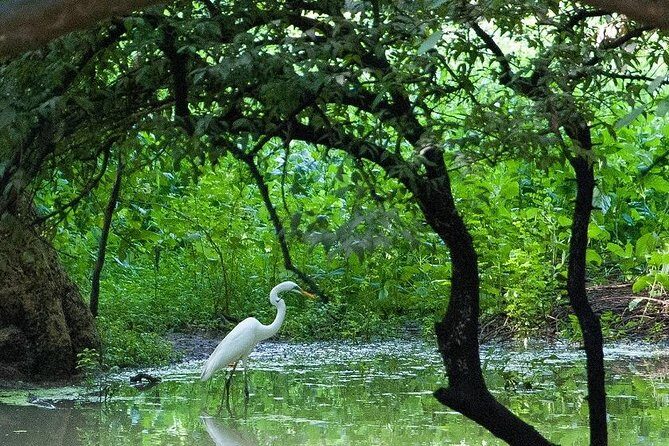 7 - Days Private Golden Triangle Tour with Bird Sanctuary - Transportation & Accommodation