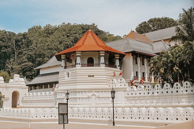 7 Days Private Tour Exploring Sri Lankas Cultural Triangle - A Closer Look at Sri Lanka’s Cultural Triangle Tour