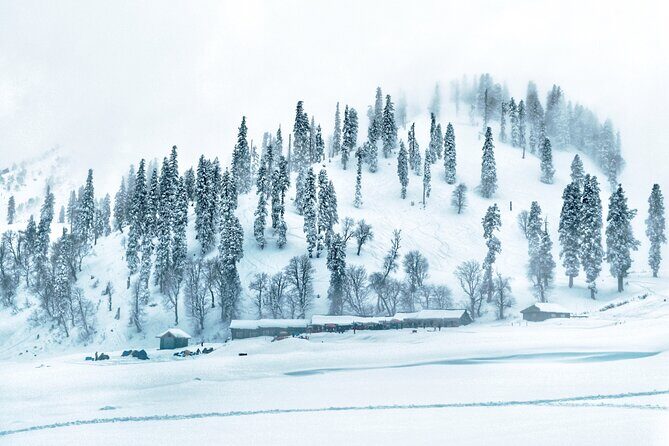 7 Days Private Travel Psychology Journey to Unseen Kashmir - An Introduction to the Experience
