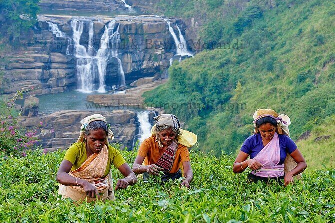7 Days Ramayana Trails Tour in Sri Lanka - Introduction